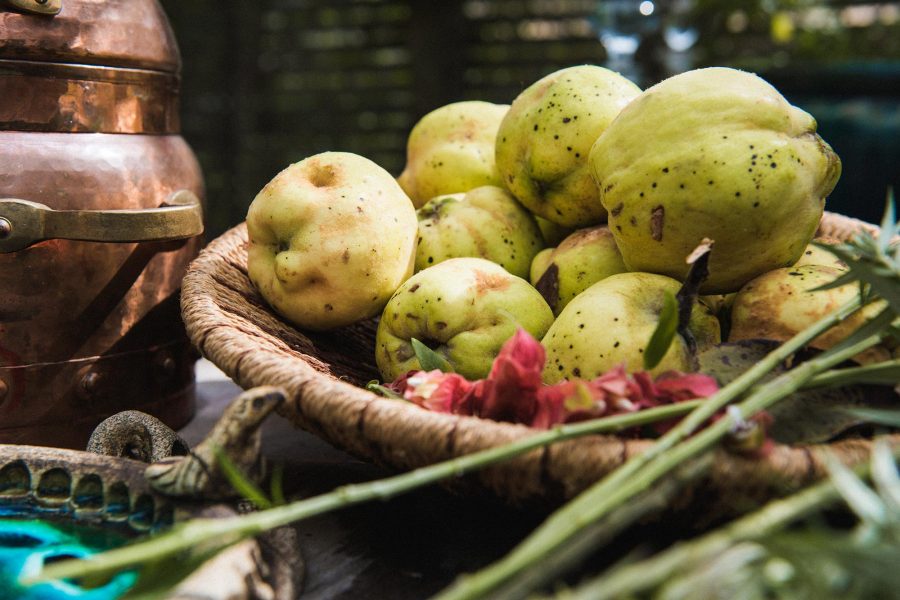 The Beauty of Quince - Alembics