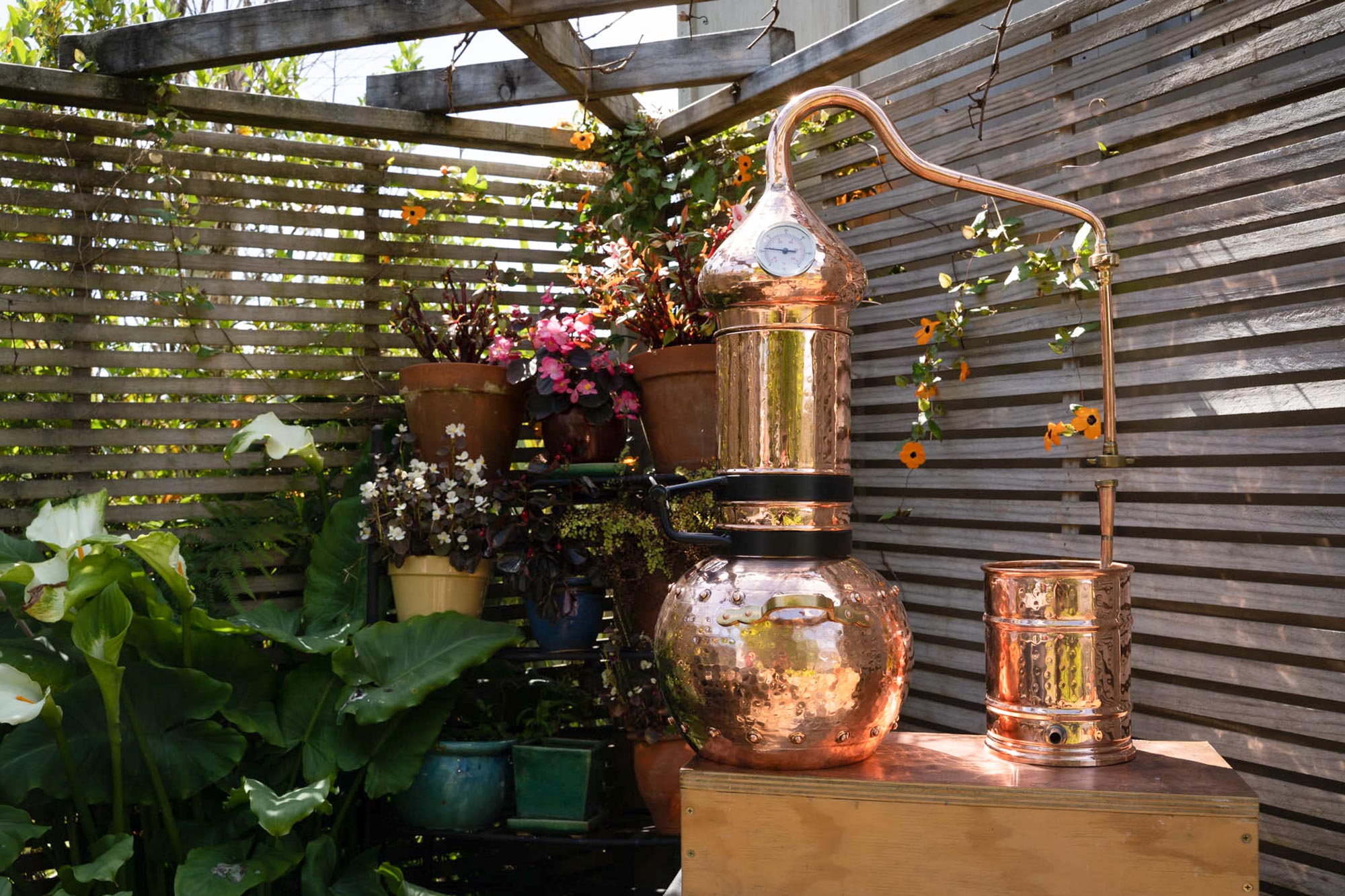 Alembics - The Art of Distillation